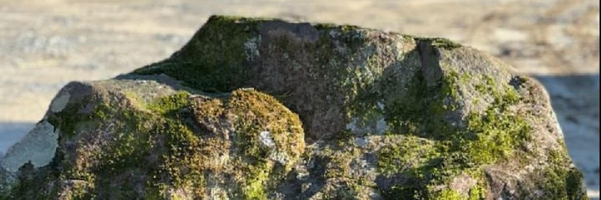 Force Protection Boulders | Stone Bollards, Barriers